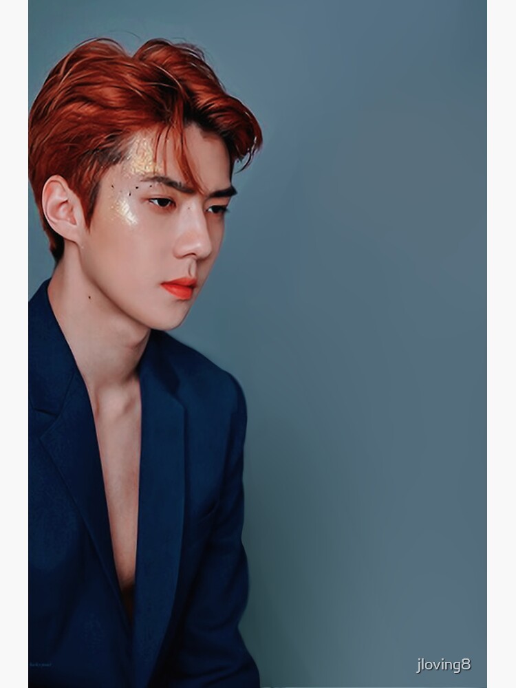 "sehun" Sticker for Sale by jloving8 | Redbubble