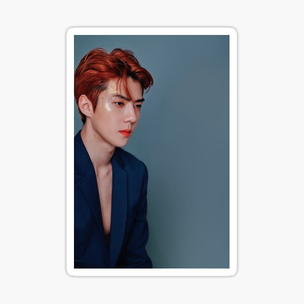 "sehun" Sticker for Sale by jloving8 | Redbubble