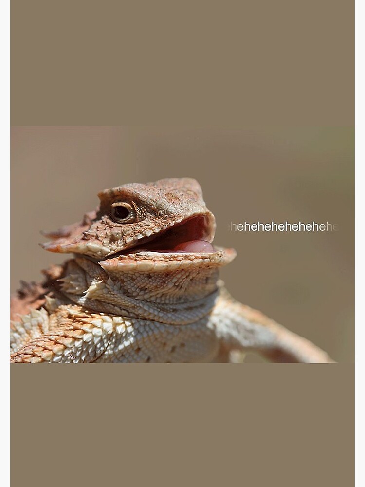 Lizard Laugh Memes