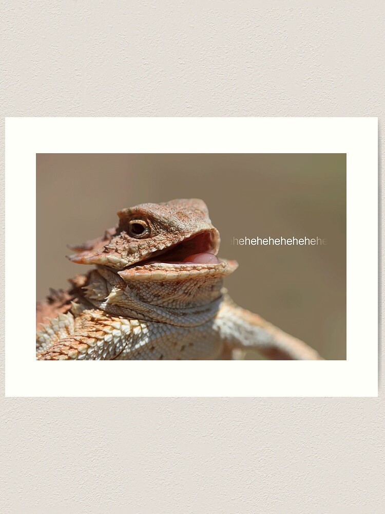 Lizard Laugh Memes