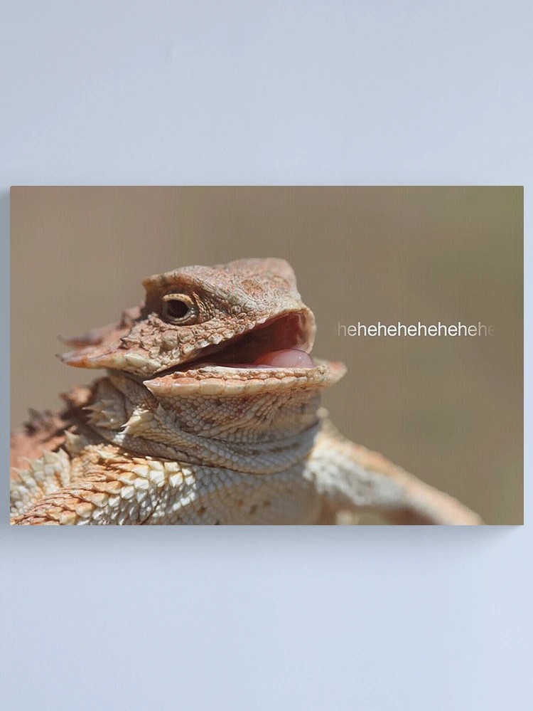 Laughing Lizard Memes Download Funny Memes Lizard And Spider Man