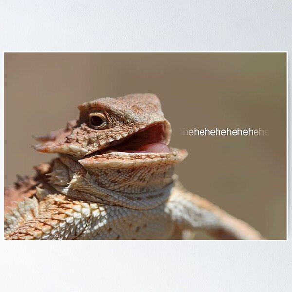 "Laughing Lizard Meme" Poster for Sale by FlashmanBiscuit | Redbubble