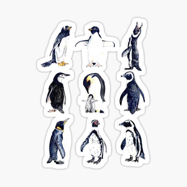 "Penguins" Sticker for Sale by MariaJoStudio | Redbubble