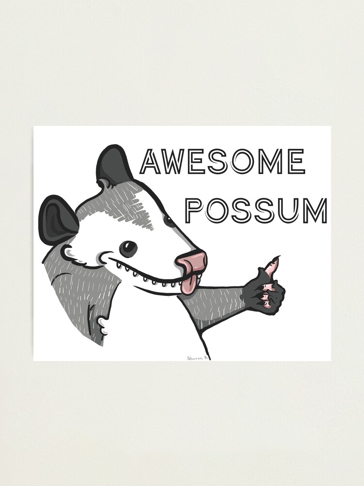 "Awesome Possum!" Photographic Print for Sale by ShereenK | Redbubble