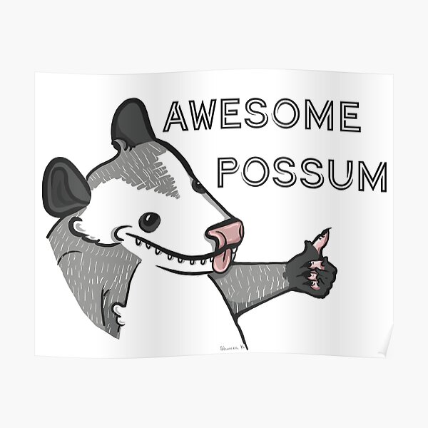"Awesome Possum!" Poster for Sale by ShereenK | Redbubble