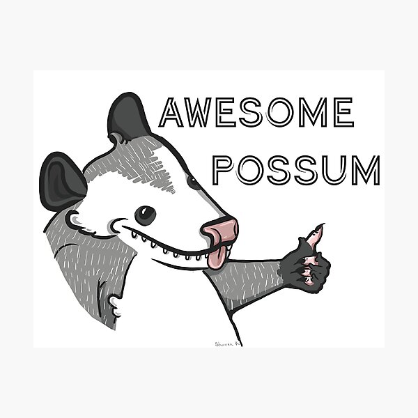 "Awesome Possum!" Photographic Print for Sale by ShereenK | Redbubble