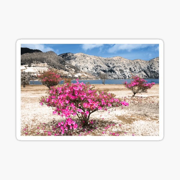 "Azaleas in dry land" Sticker for Sale by gavila | Redbubble