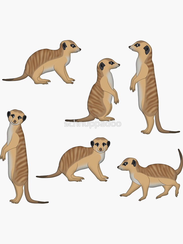 "Meerkat" Sticker for Sale by schnuppadoo | Redbubble