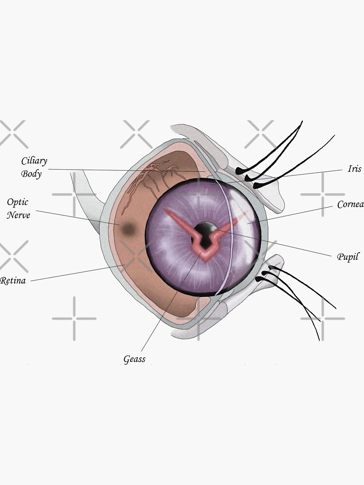 Pegatina «Code Geass Scientific Eye Chart» de tebibr | Redbubble