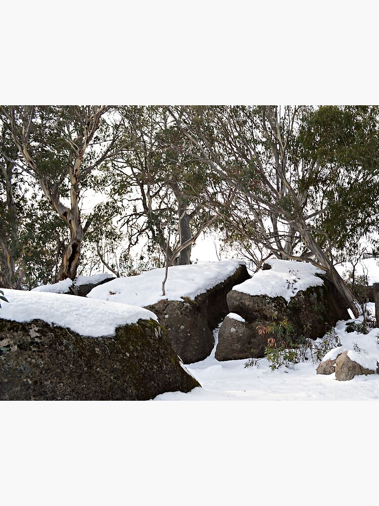 Snow Gums Premium Matte Vertical Poster sold by Christopher Tan | SKU ...