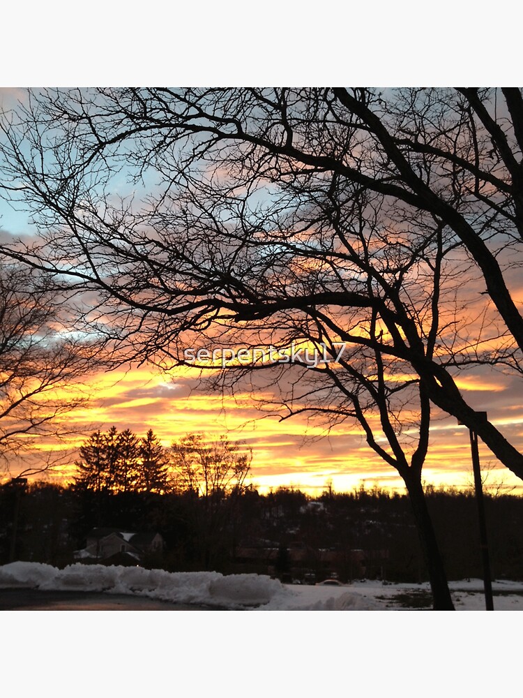 "Snow and Winter Trees Skyline" Sticker for Sale by serpentsky17 ...