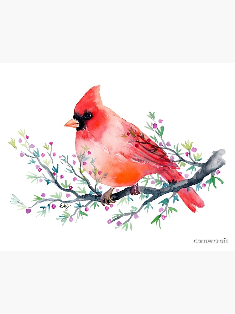 "Watercolour red cardinal bird" Metal Print for Sale by cornercroft ...