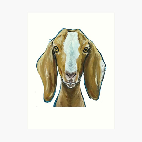 Boer Goat Art Prints | Redbubble
