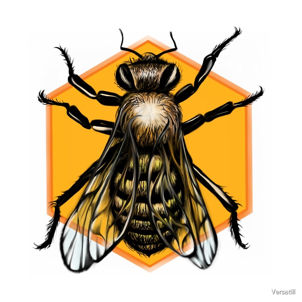 "Honey Bee with Hexagon Shape" by Versatill | Redbubble