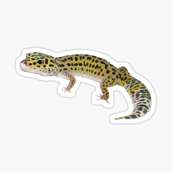 "Cute Leopard Gecko Gift I Love Geckos" Sticker for Sale by madeulaugh ...
