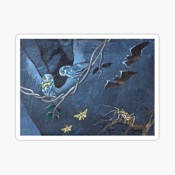"Bats, Morepork and Weta" Sticker for Sale by junglequeen | Redbubble