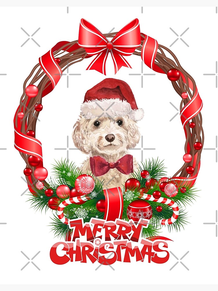 "Funny Cockapoo christmas T-shirt, Also called Noël, Nativity, Xmas ...