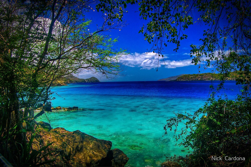 "Coki Beach St Thomas, USVI" by Nick Cardona | Redbubble