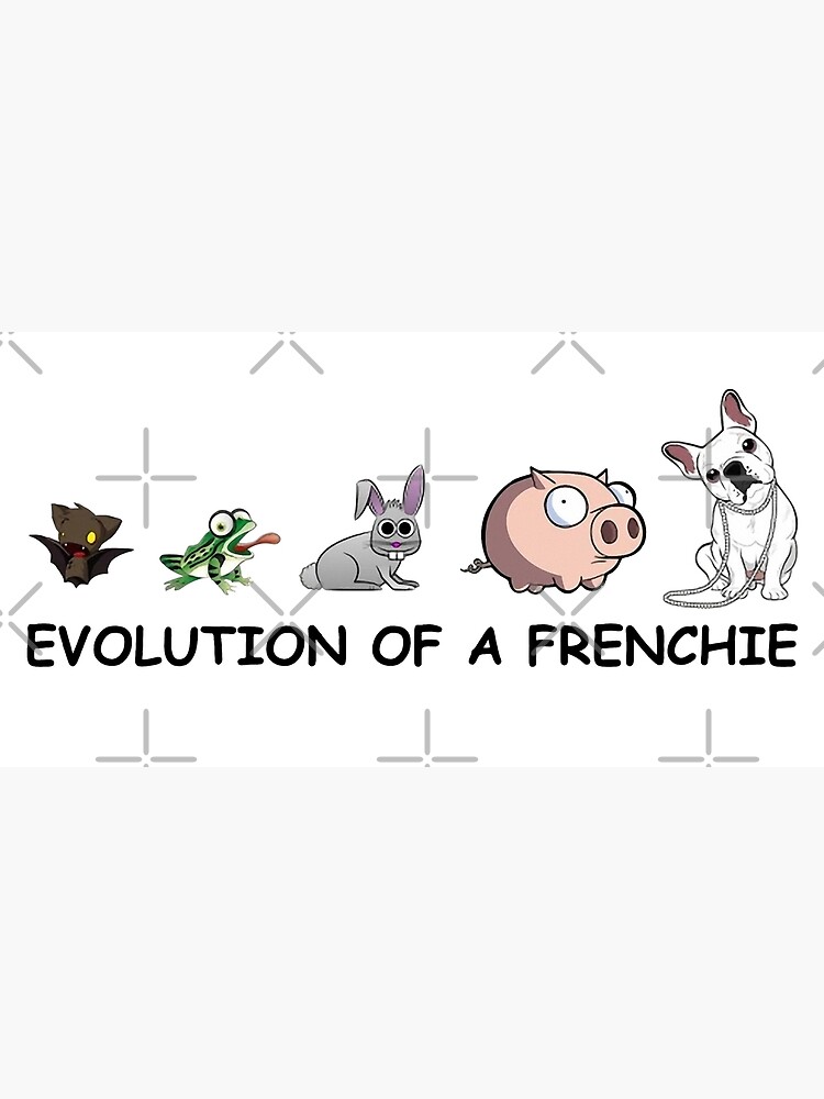 "Evolution Of A Frenchie" Poster by ae21 | Redbubble