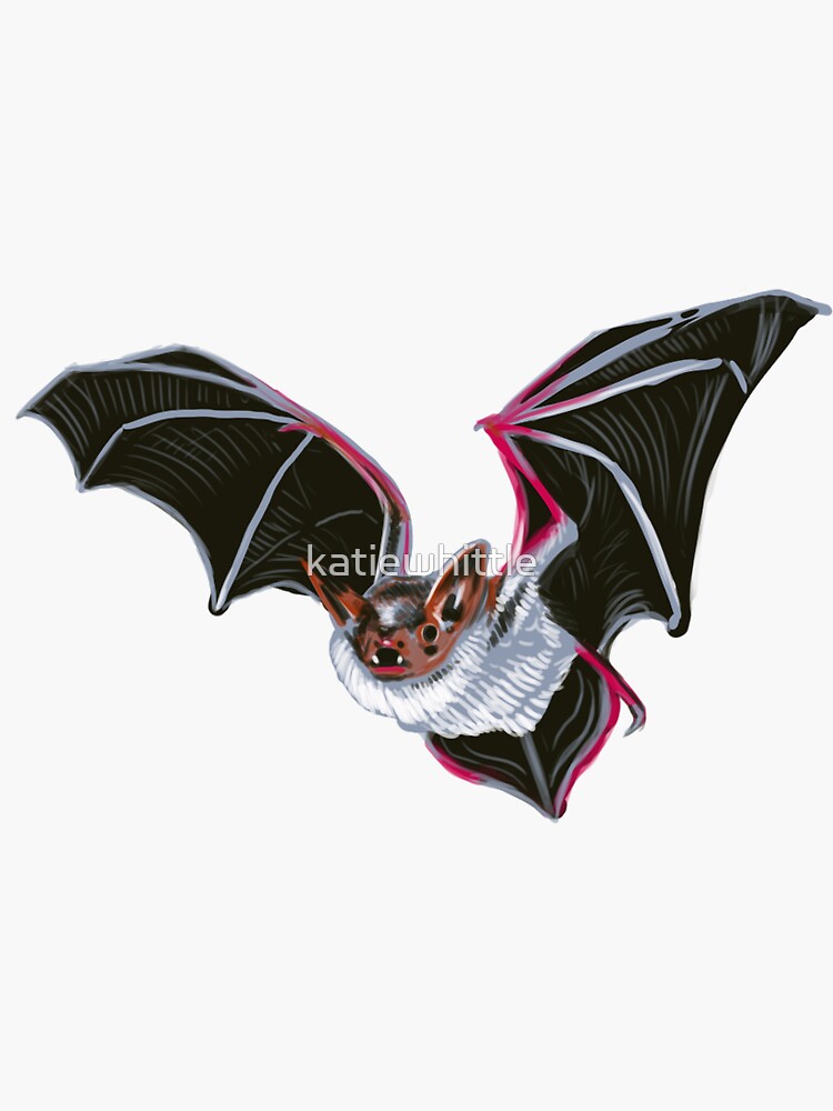 "Going Batty " Sticker for Sale by katiewhittle | Redbubble