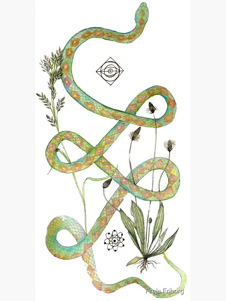 "Science Snake" Canvas Print for Sale by FrejaFri | Redbubble