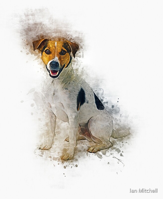 "Jack Russell" by Ian Mitchell | Redbubble
