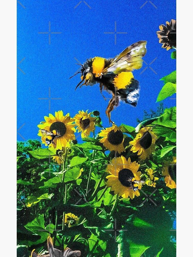 "Bumble Bee" Poster by OscarHenshaw | Redbubble