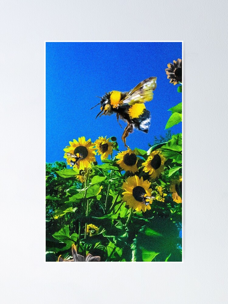"Bumble Bee" Poster by OscarHenshaw | Redbubble