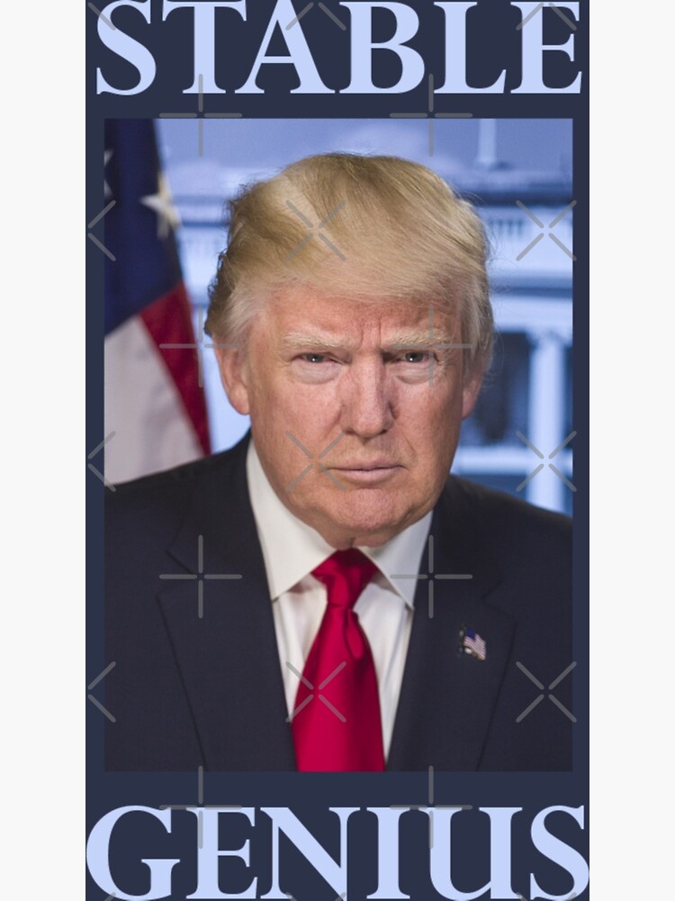 "Donald Trump - Stable Genius" Poster for Sale by threeampersands ...