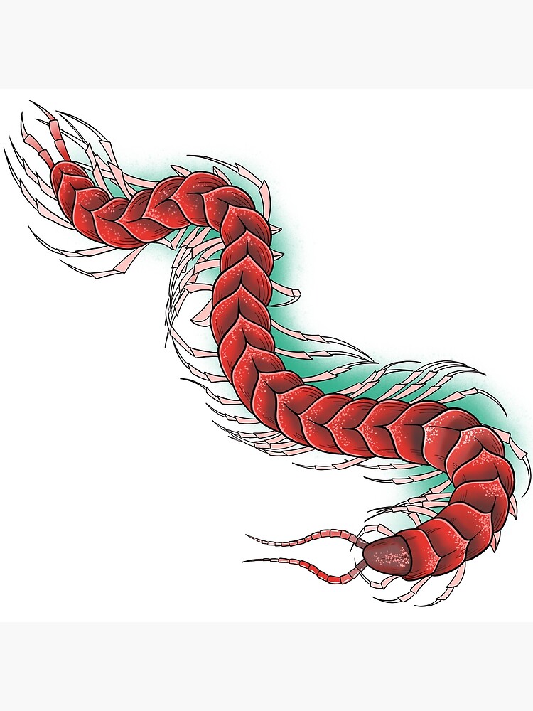 "Centipede " Poster by Nynrafa | Redbubble