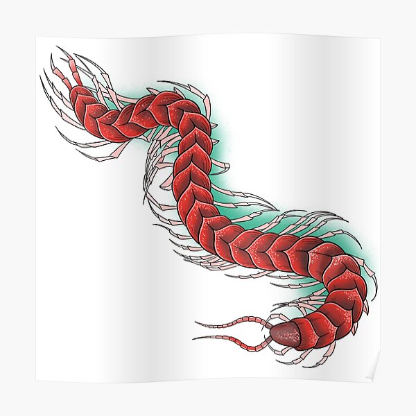 "Centipede " Poster by Nynrafa | Redbubble