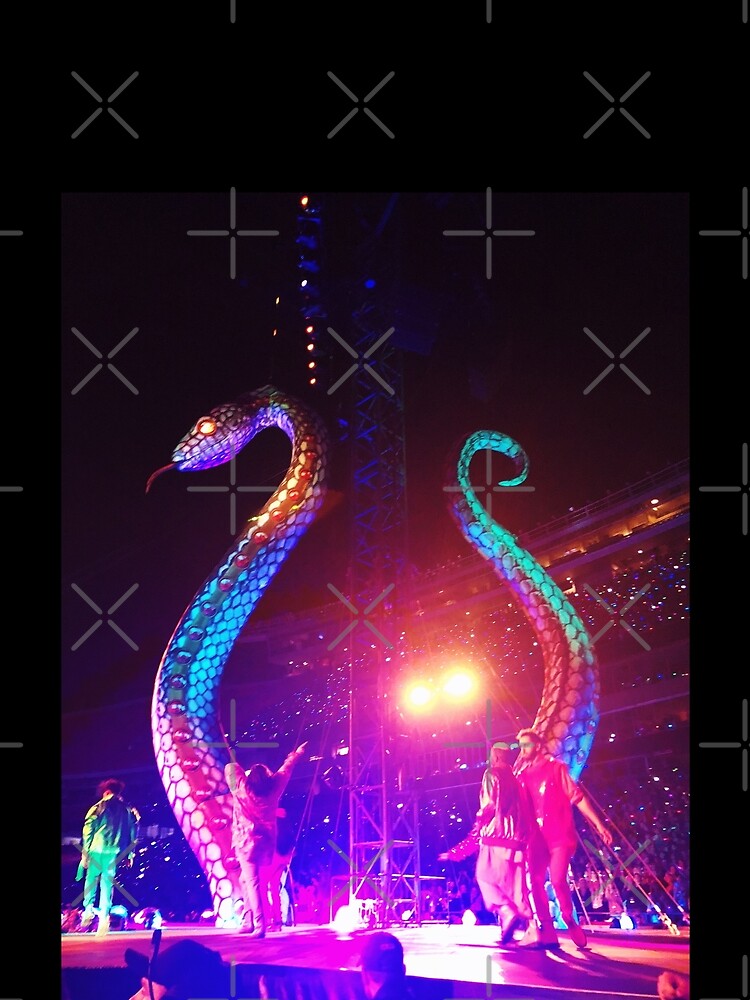 "Reputation Tour Snake" Graphic T-Shirt for Sale by allieweek | Redbubble