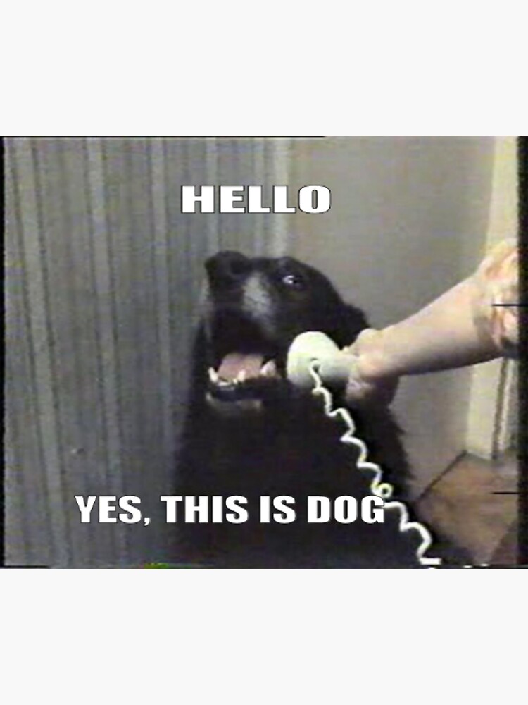 "Hello Yes This Is Dog" Sticker for Sale by FlashmanBiscuit | Redbubble