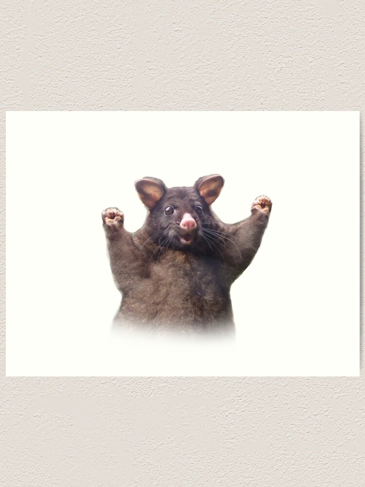 "wahoo rat - positive possum meme" Art Print for Sale by CleverJane ...