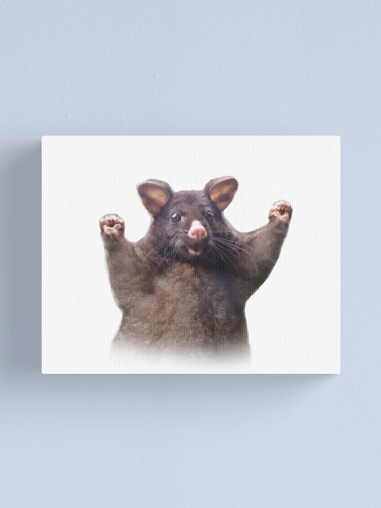 "wahoo rat - positive possum meme" Canvas Print by CleverJane | Redbubble