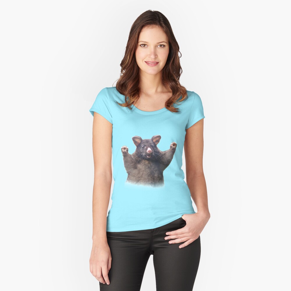 "wahoo rat - positive possum meme" Sticker for Sale by CleverJane ...