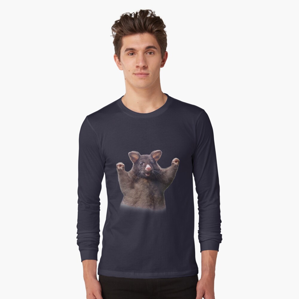 "wahoo rat - positive possum meme" Sticker for Sale by CleverJane ...