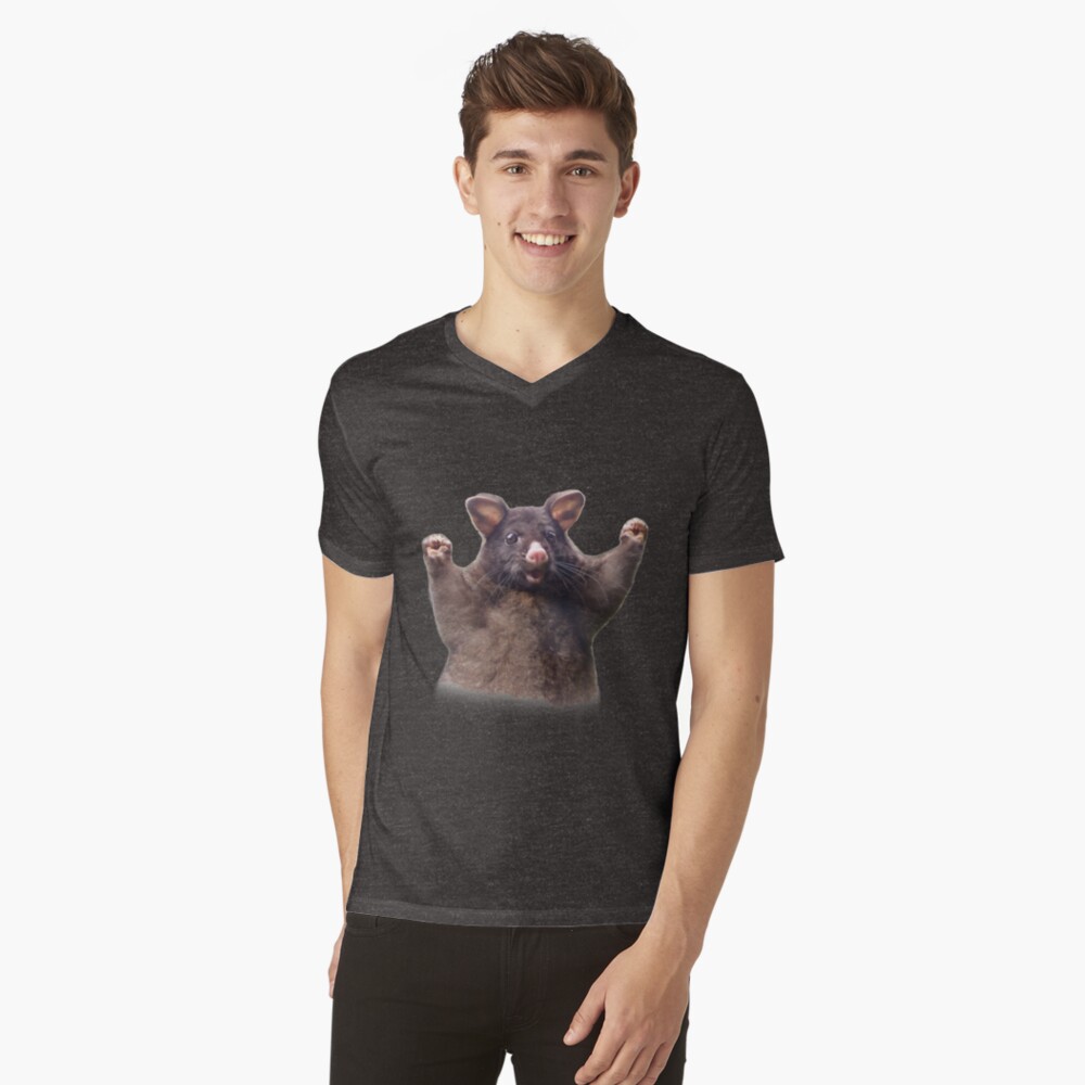 "wahoo rat - positive possum meme" Sticker for Sale by CleverJane ...