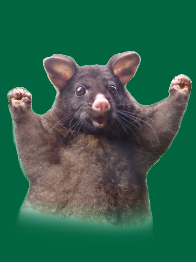 "wahoo rat - positive possum meme" T-shirt for Sale by CleverJane ...