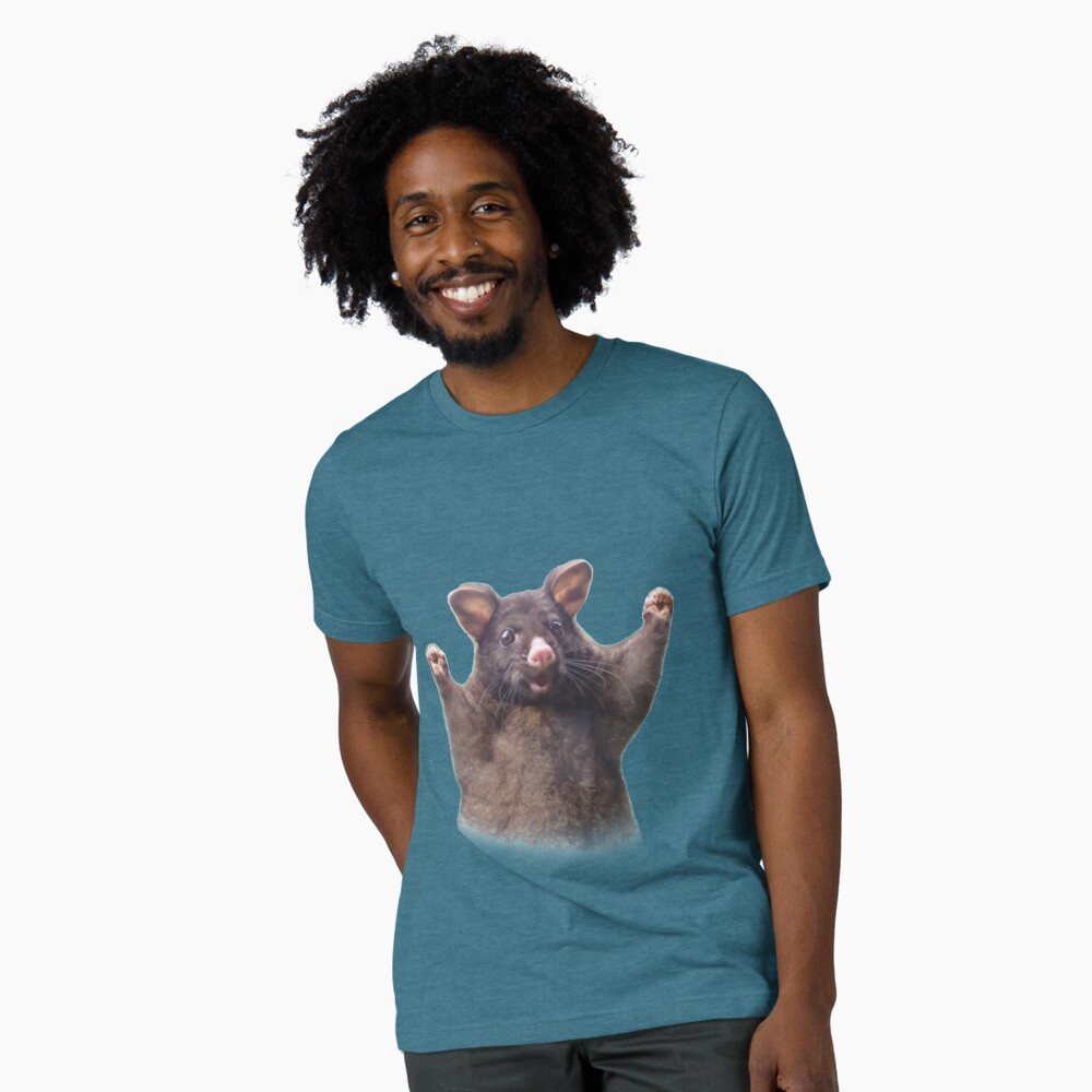 "wahoo rat - positive possum meme" Sticker for Sale by CleverJane ...