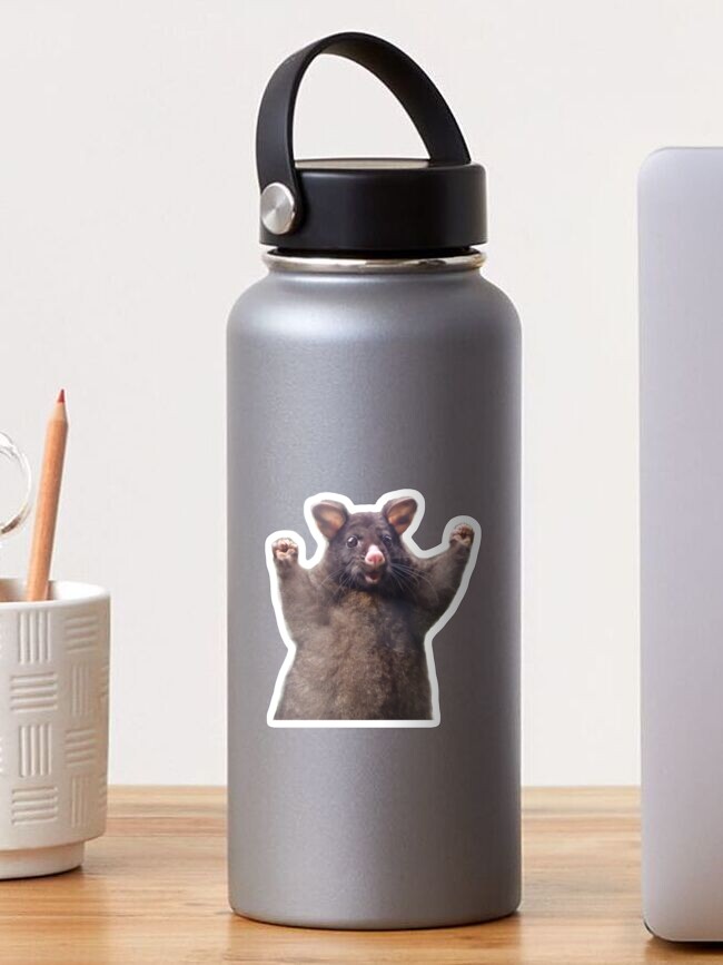 "wahoo rat - positive possum meme" Sticker for Sale by CleverJane ...