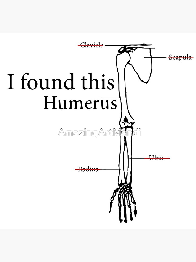 "I found this Humerus" Poster for Sale by AmazingArtMandi | Redbubble