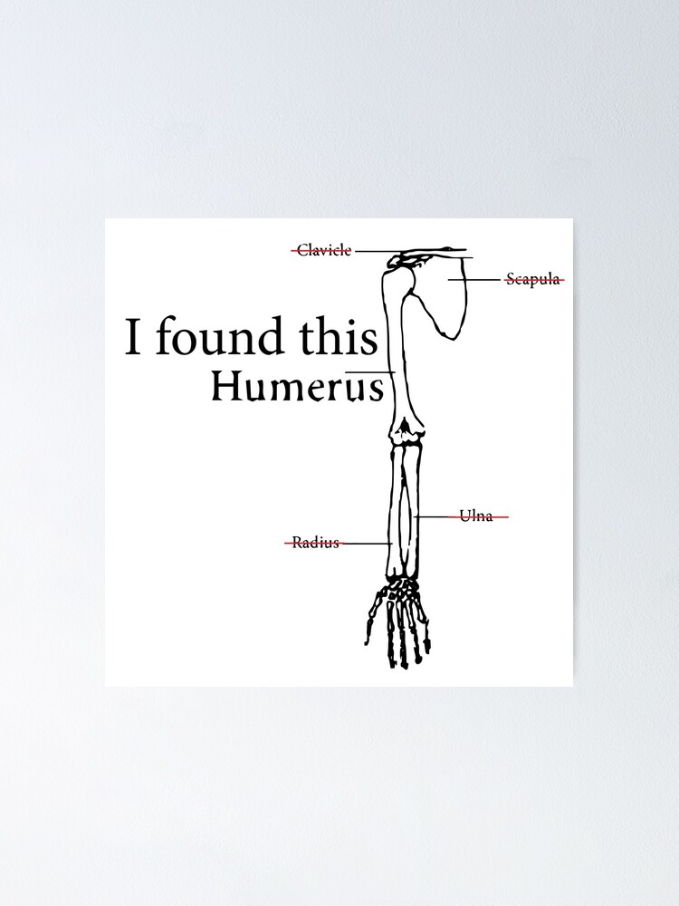 "I found this Humerus" Poster for Sale by AmazingArtMandi | Redbubble