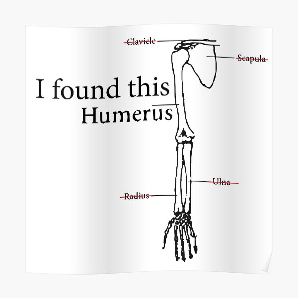 "I found this Humerus" Poster for Sale by AmazingArtMandi | Redbubble