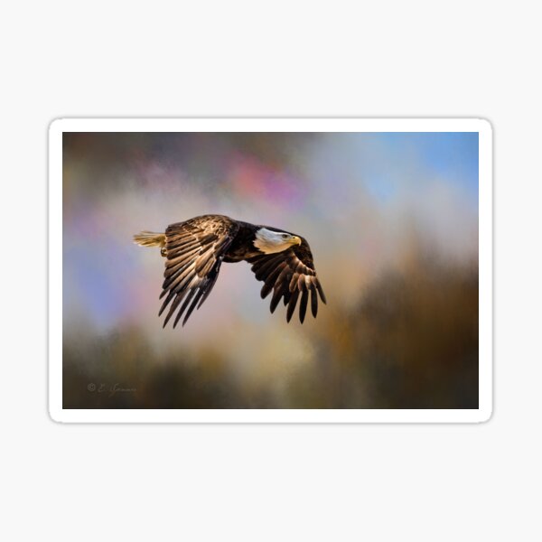 "Eagle Watch" Sticker for Sale by espinner | Redbubble