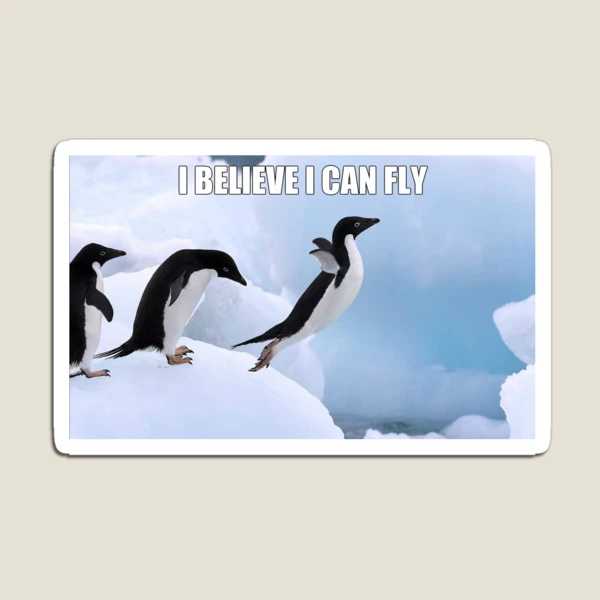 Penguin Fly Meme Penguin Flying Sky Photos Download Free