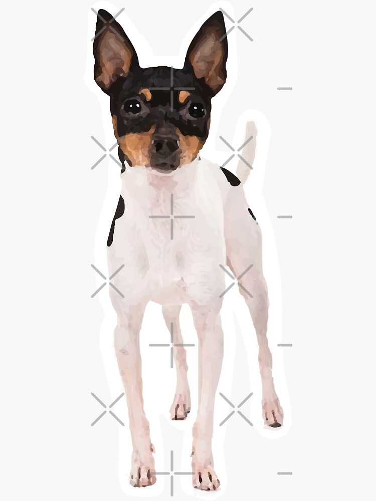 "Toy Group: Toy Fox Terriers" Sticker for Sale by BestinShow | Redbubble