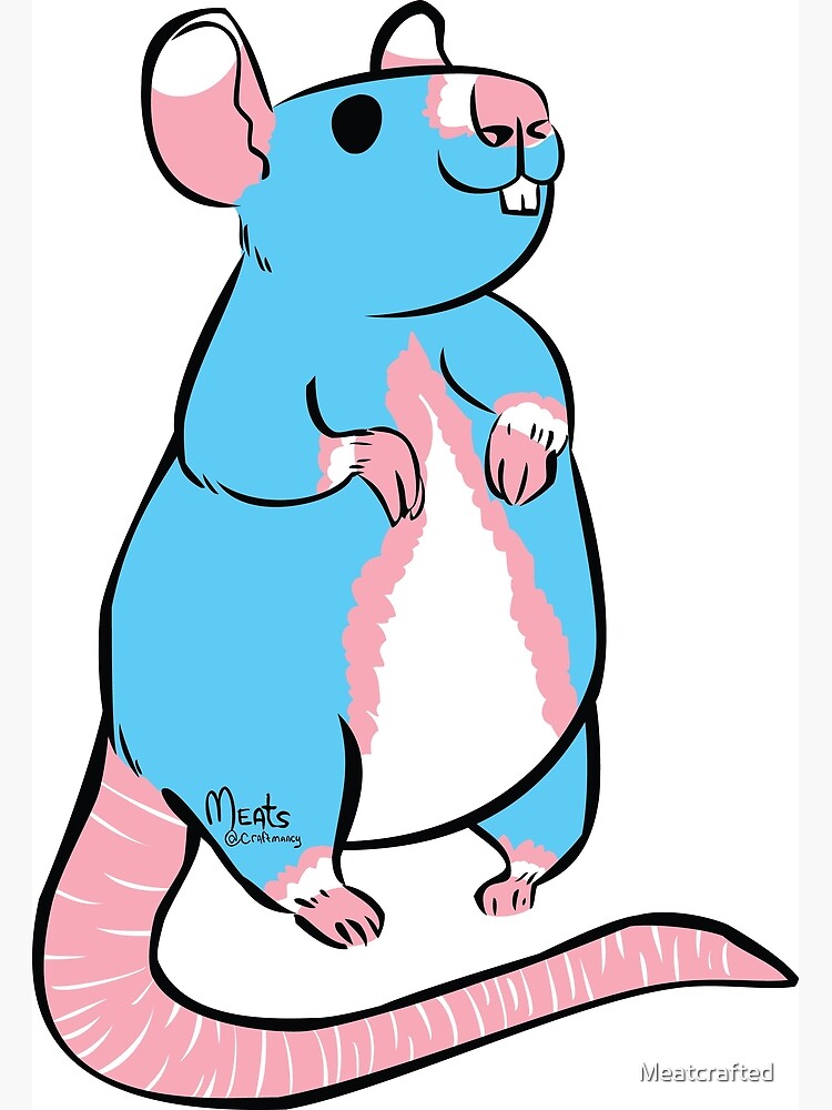 "Trans Rat Standing Up" Poster for Sale by Meatcrafted | Redbubble