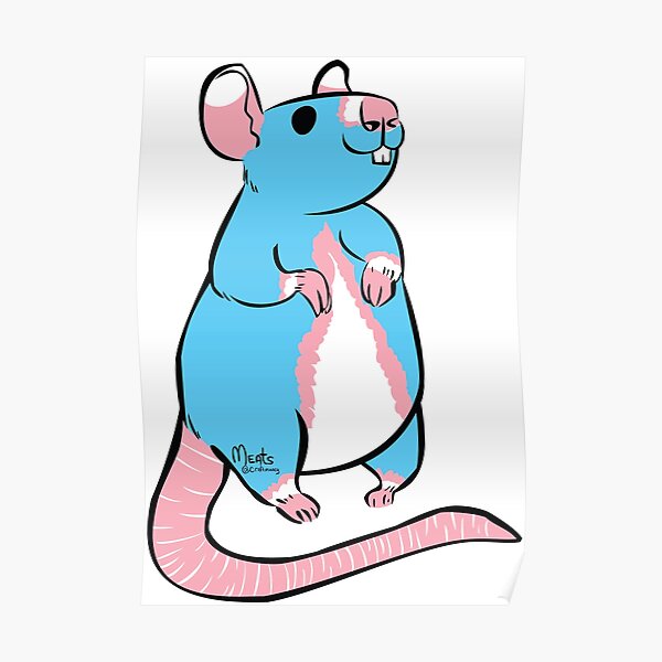 "Trans Rat Standing Up" Poster for Sale by Meatcrafted | Redbubble