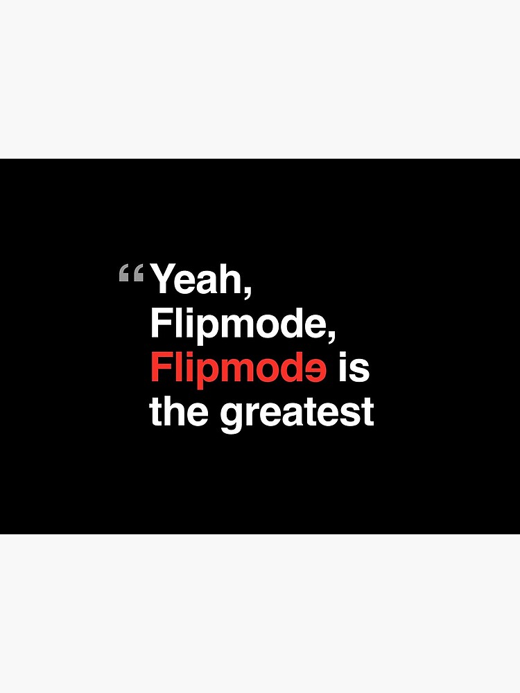 Flipmode Memes